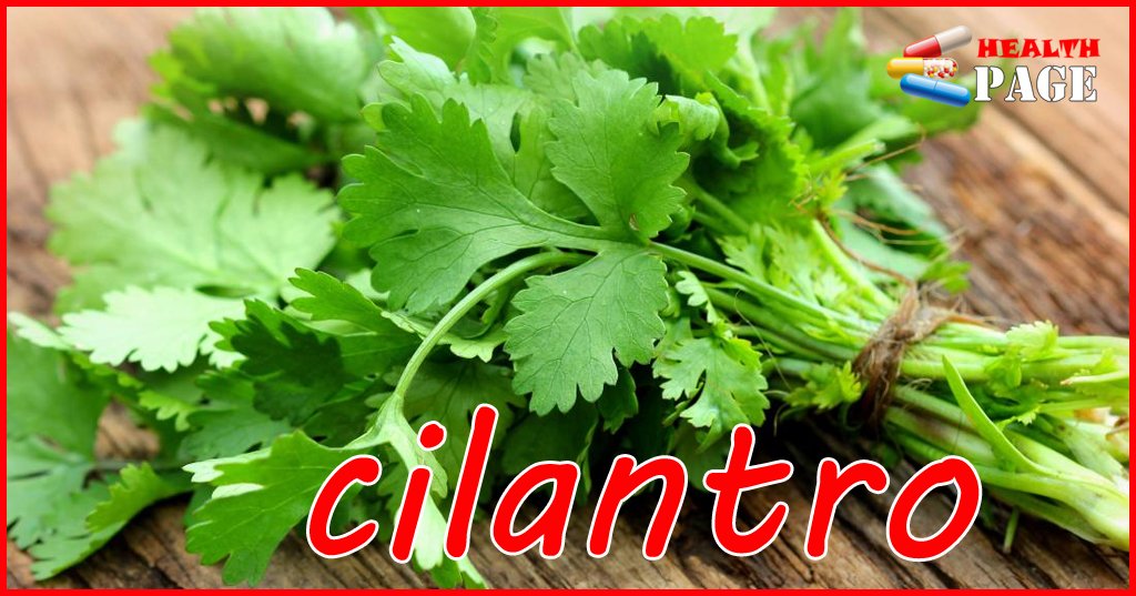 Know the cilantro benefits and nutritional value